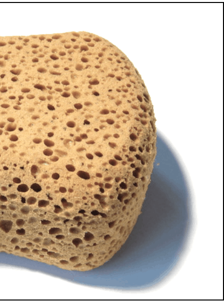 Learning To See - Valeria Guzmán Verri